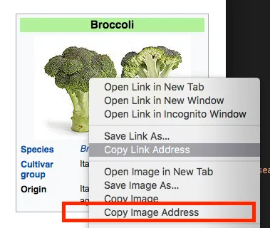How to add an image to a report template
